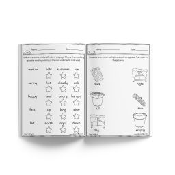 Fun with opposites – Clever Wolfee