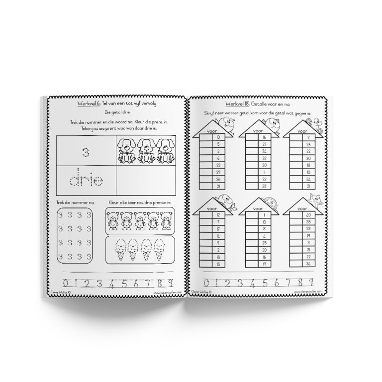 Graad 1 Jaarpakket Special – Clever Wolfee