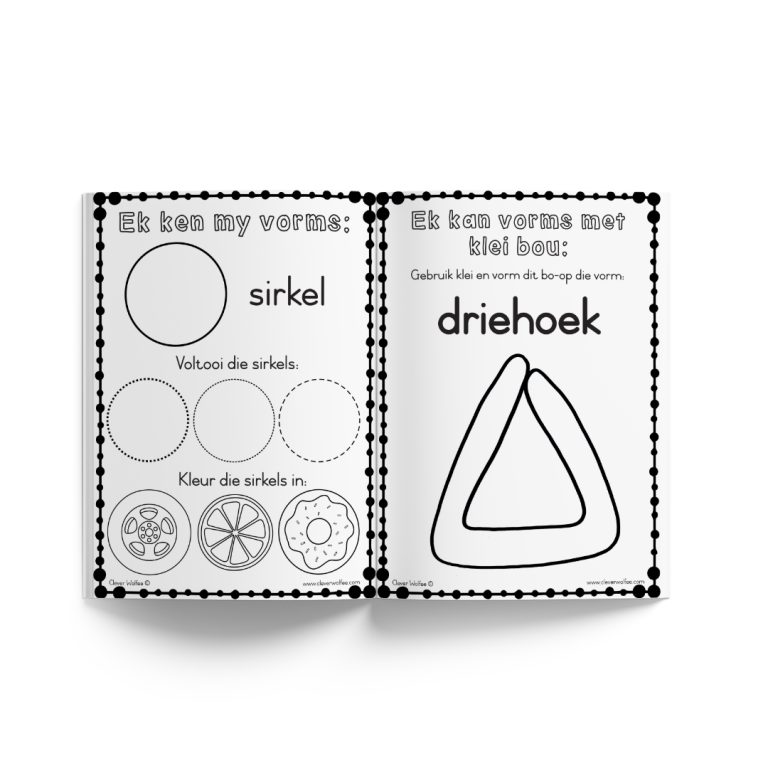 Graad R Bundel Clever Wolfee