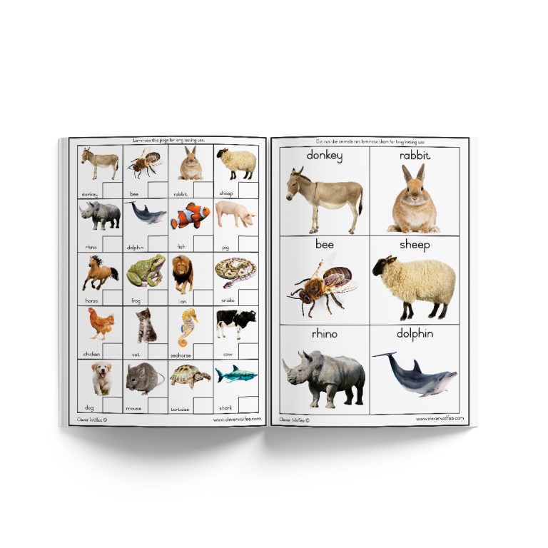 Play SNAP and learn about animals – Clever Wolfee