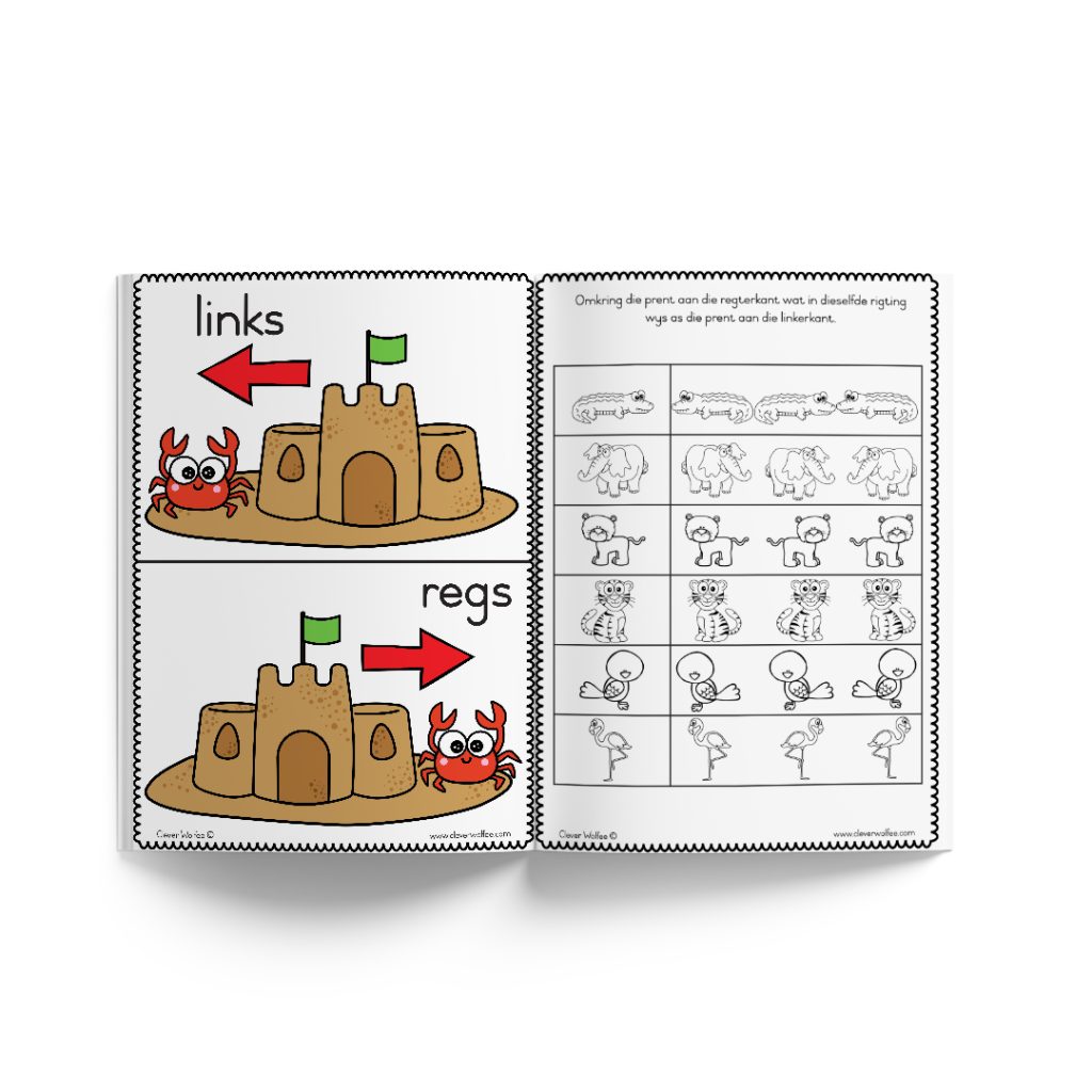 My rigting boekie – Clever Wolfee