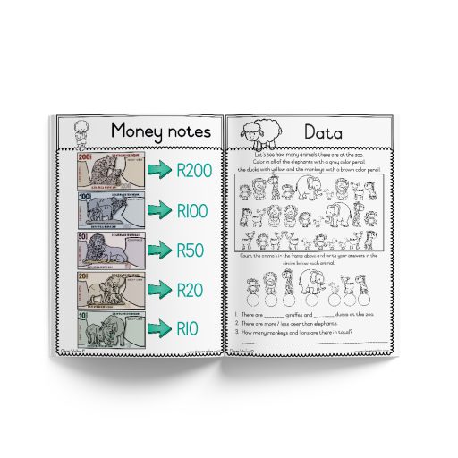 Grade 2 Mathematics extra help – Clever Wolfee